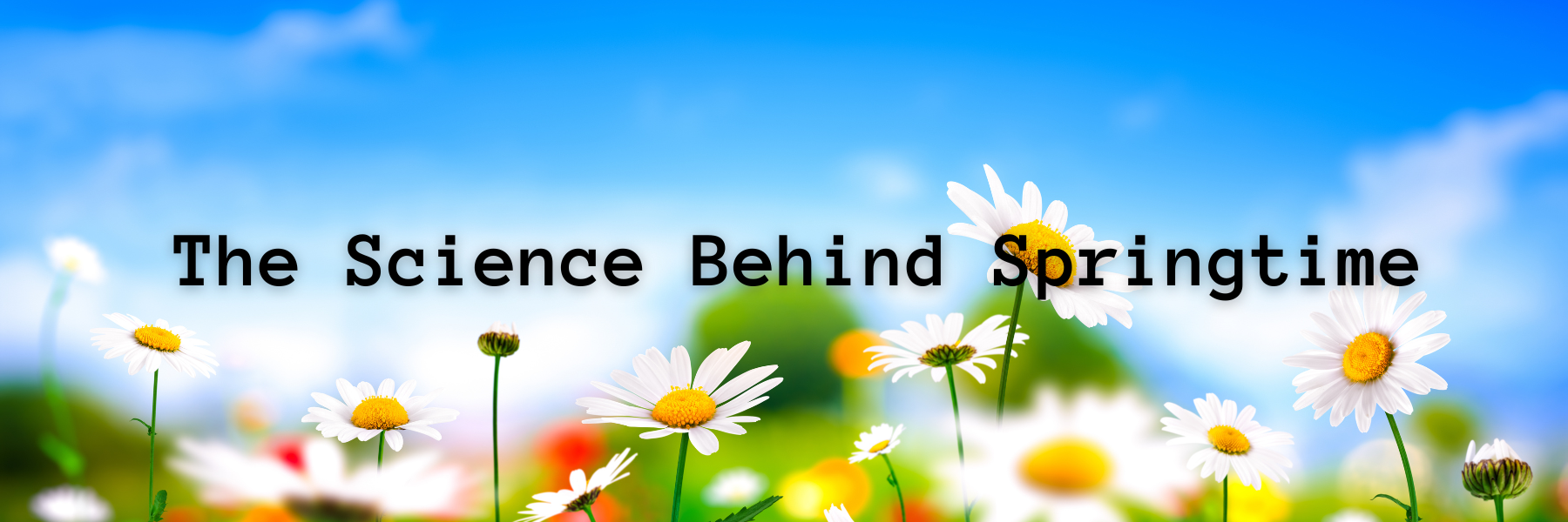 The Science Behind Springtime – AdaMarie Jewelry